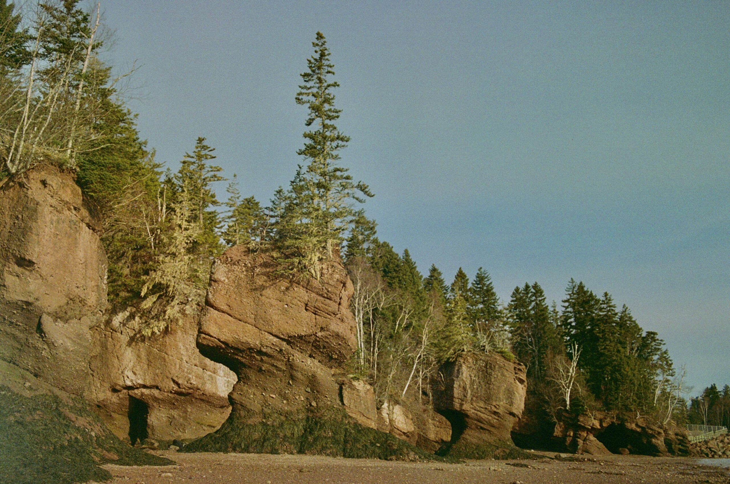 The Long Way Home: Eastern Canada Road Trip Part 1 - Cassidy Beach